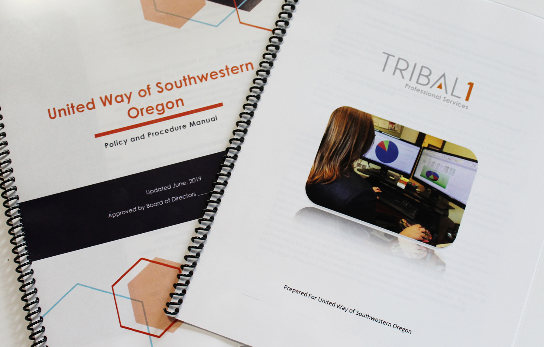 Accounting Systems & Procedures Review | Tribal One
