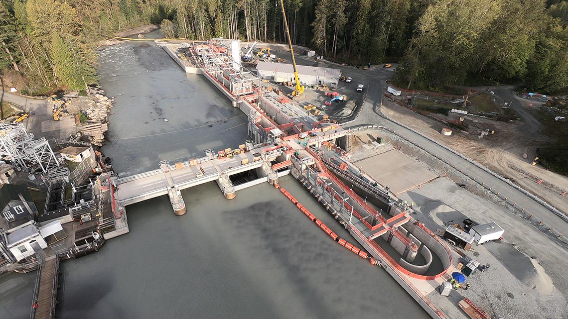 Mud Mountain Dam Fish Passage | Tribal One